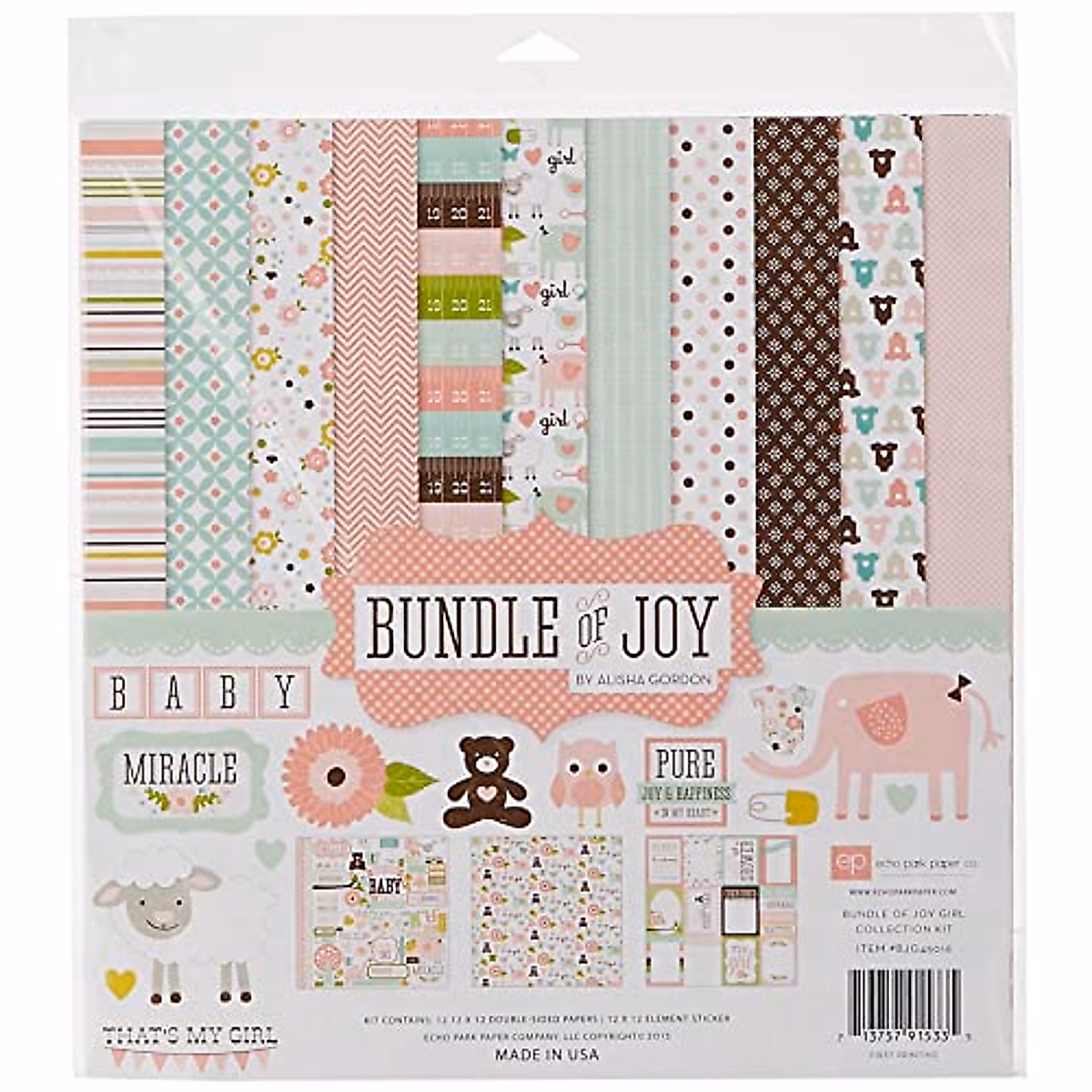Echo Park Paper Company Echo Park Paper BJG45016 Bundle of Joy Girl Collection Scrapbooking Kit, 12-x-12-Inch