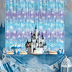 Frozen Party Decorations, 2Pack Frozen Snowflake 3.3x6.6ft Tinsel Foil Fringe Curtains Winter Photo Booth Prop Backdrops, Frozen Decorations for Birthday Snowflake Fringe Curtains for Frozen Party