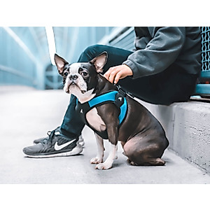 Gooby Turquoise X-Small Easy Fit Harness - No Pull Patented Design for Small Dogs with Quick Release Buckle