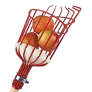 Home-X Fruit Picker Harvester Basket with Cushion to Prevent Bruising (Pole not Included)