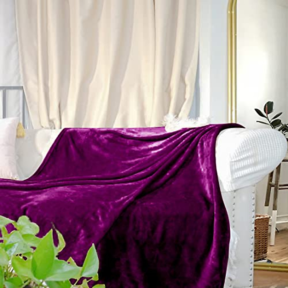 VANSILK Super Soft Flannel Fleece Throw Blanket Warm Fluffy Solid Throw for Bed and Couch (Purple 60''x80'')