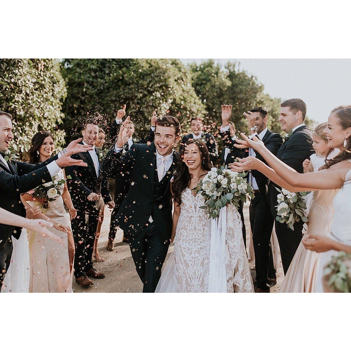 TooGet Wedding Confetti Dried Flower Petals, 100% Natural Confetti Dried Petals Biodegradable Petal Confetti for Wedding and Party Decoration - 115g (Red Roses Petals)