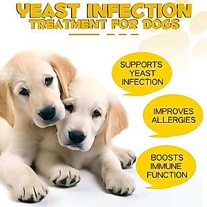Dog Yeast Infection Treatment, 4 Fl Oz Natural Yeast Infection Treatment for Dogs Supports Dog Skin Itch Relief, Dog Ear Infection & Allergy Relief, Pet Supplies Dog Ear Care, Bacon Flavor - 2 x 60ml
