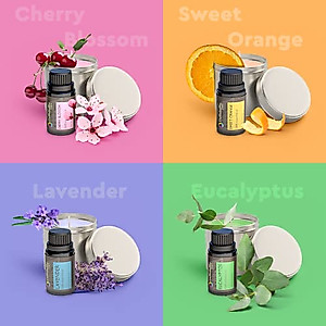 Diy Candle Making Kit for Adults | Make Your Own Candle Kit | Candle Maker Kit | 2 LB of Soy Candle Wax | Candle Making Kit for Kids | Best Candle Making Kits | Soy Wax Candle Making Kit for Beginners