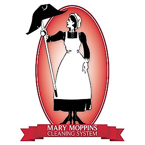 Mary Moppins EZE Squeegee for RV's and Trucks