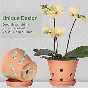 6 inch Terracotta Orchid Pots with Holes and Saucers, 3 Pack Clay Orchid Planter Pots for Repotting, Small Terra Cotta Orchid Pot, Plant Flower Pots for Orchid Indoor Outdoor Promotes Air Circulation