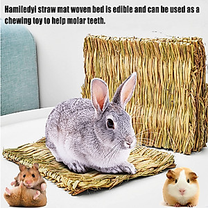 Hamiledyi 18 Pack Bunny Grass Woven Bed Mat Natural Straw Hay Mats Rabbit Handmade Bedding Sleeping Grinding Nesting and Chewing Toy for Guinea Pig Hamster Chinchilla Squirrel Hedgehog