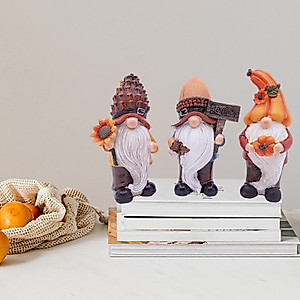 Etistta 3PCS Fall Harvest Gnome Thanksgiving Figurine Decor, 6.5 inch Polyresin Gnomes Sculptures with Pumpkin, Pine Cones, Acorn Hat for Home Tabletop Garden Holiday Decorations