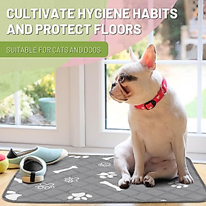 PatiencET Washable Pee Pads for Dogs, 18'' x 24" Reusable Puppy Pads with Super Absorbent for Pet Training, Housebreaking and Incontinence, 2 Pack Puppy Potty Pads with Waterproof Bottom