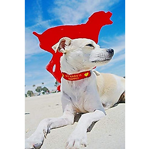 Personalized Dog Collar with Custom Hi-Def Text and Art, an Embroidered Dog Collar Alternative - Available in 7 Sizes & 21 Colors