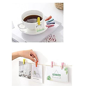 Mippein 100pcs Sturdy Colored Wooden Mini Small Tiny clothespins for Dry Laundry on Clothesline, Bag Clips, Crafts, Photos, Home, School, Arts Crafts Deco