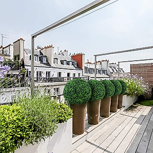 Lavora Zone 2 PCS 10 inch Artificial Hanging Plant Topiary Ball Faux Boxwood Faux Plants Decorative Balls for Indoor, Outdoor, Garden, Wedding, Balcony, Backyard and Home Decor