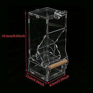 Bird Automatic Food Feeder, 1Pc Acrylic Transparent Parrot Integrated Automatic Feeder Automatic Bird Seed Feeder for Small to Medium Birds(M Single Type)