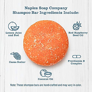Naples Soap Company Solid Shampoo Bar for All Hair Types – Eco-Friendly, Free of Parabens, Alcohol, Pthalates – Handmade, pH Balanced, Hydrating Haircare, Lasts 50-75 Uses – Florida Fresh, 1.75 oz