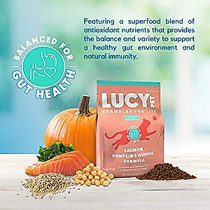 Lucy Pet Cat Salmon, Pumpkin, & Quinoa 10lb