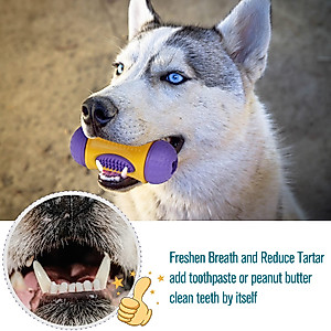 WWW Dog Chew Toys for Aggressive Chewers, Puppy Teething Chew Toy Tough Dog Toys with Natural Rubber for Small Medium Large Breeds, Teeth Cleaning and Gum Massage for Small Medium Large Dog,Purple