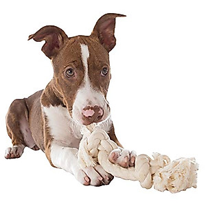 Mammoth Pet Products Dog Flossy Chews 100-Percent Cotton White Rope Bone, Medium, 12-Inch (10004V), All Breed Sizes