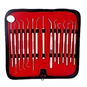 15 Pcs Oral Hygiene Kit Plaque Remover Professional Dental Picks Set Double & Single Ended Picks + Scraper, Mouth Mirror & Tweezers for Gum Care Cleaning Set Stainless Steel with Carrying Case