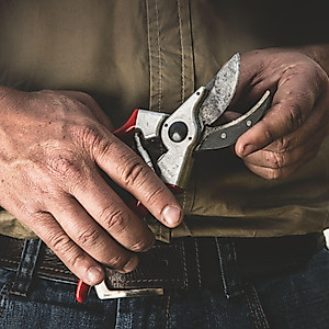 FELCO F-2 068780 Classic Manual Hand Pruner, F 2