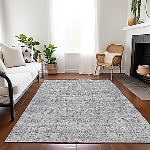 Addison Rugs Chantille ACN611 Gray 9' x 12' Indoor Outdoor Area Rug, Easy Clean, Machine Washable, Non Shedding, Bedroom, Living Room, Dining Room, Kitchen, Patio Rug