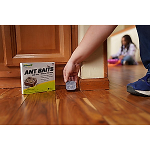 RESCUE! Ant Baits - 4 Bait Stations