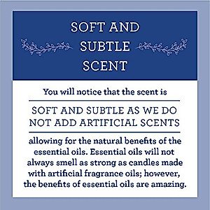 Our Own Candle Company Soy Wax Aromatherapy Candle, Simply Peppermint, 6.5 Ounce