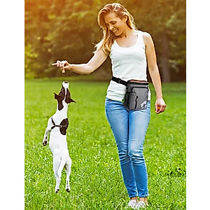 Gobeigo Dog Training Treat Pouch, Pet Treat Bag Holder with Zipper Split Top, Built-in Poop Bag Dispenser, Dog Fanny Pack for Puppy Training, Dog Walking, Hiking, Outdoor Travel (Gray & Orange)