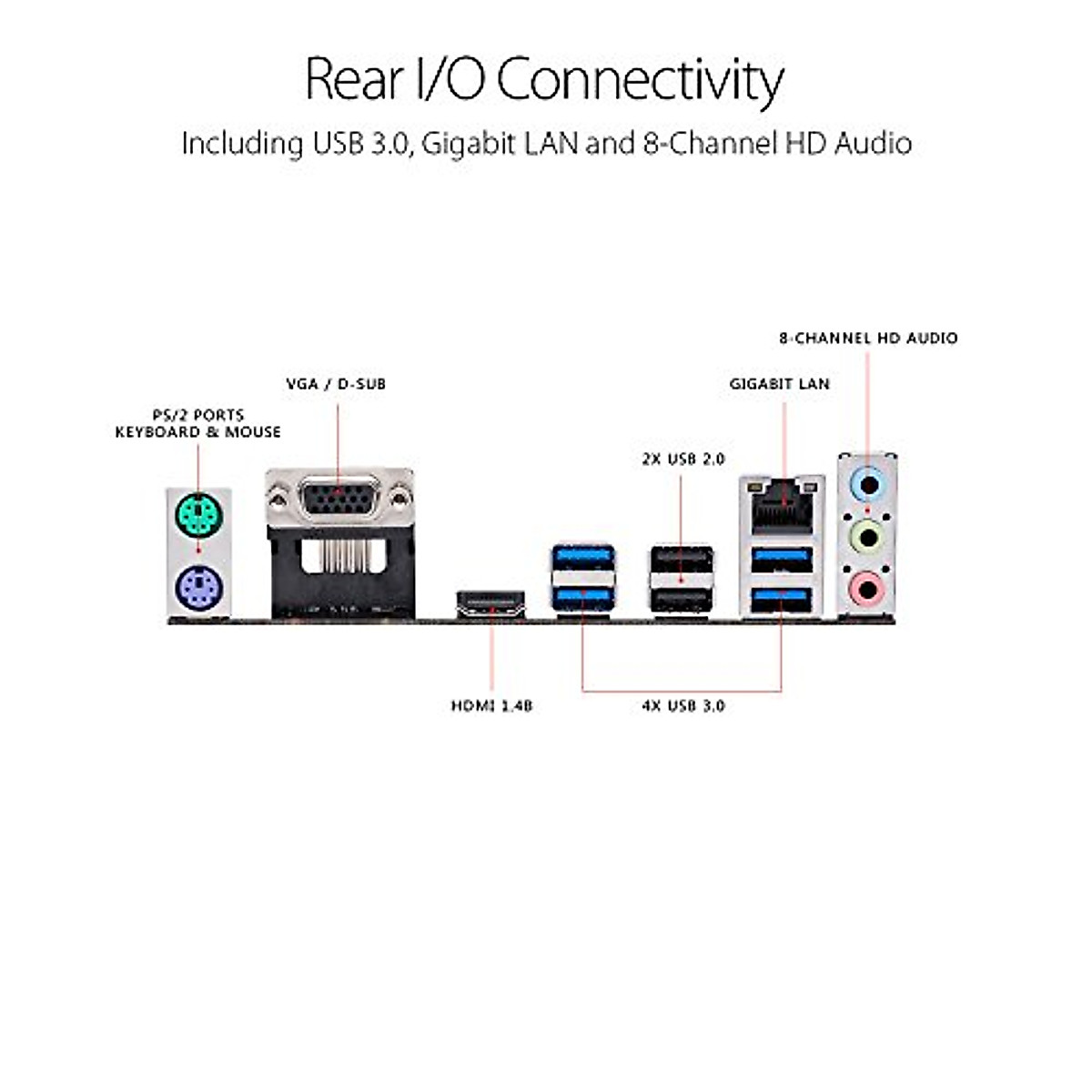 ASUS PRIME A320M-K AMD Ryzen AM4 DDR4 HDMI VGA M.2 USB 3.1 Micro-ATX Motherboard