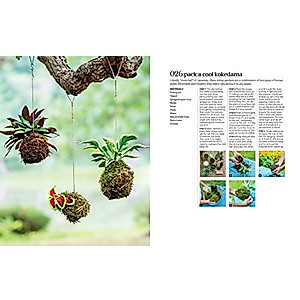 Easy Garden Projects: 200+ Simple Ideas for Your Yard, Garden & Home