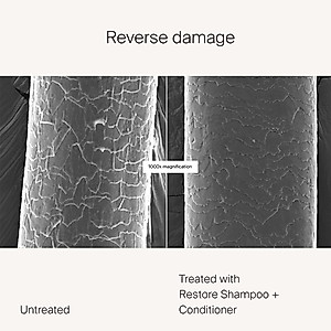 Living proof Restore Conditioner, 24 oz