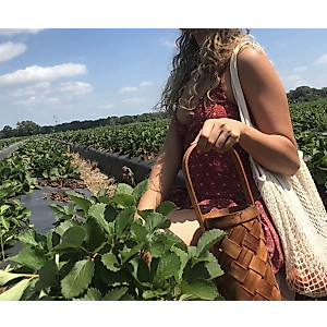 Reusable Produce Bags, Washable, Mesh Bags for Vegetables, Organic Mesh Produce Bags Cotton, Vegetable Storage Bags for Refrigerator Keep Fresh, Produce Storage Bag Set of 6(4 Mesh+2 String bags)