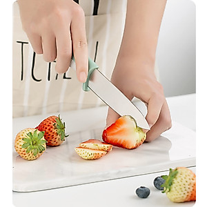 Jonbyi Paring Knife 4 inches, Kitchen Utility Knife - Ultra Sharp Stainless Steel Fruit Knife for Vegetables with Hippo Shaped Cover, Small Portable Pairing Knives Food knife with Sheath, Green