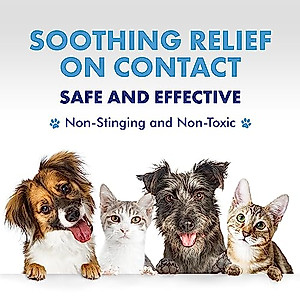PetSilver Wound Gel with Complex AG21 | Chelated Silver 200 ppm | Dog & Cats |Wounds | Hot Spots | Itches | Skin Irritations | Burns | Rashes | Sores | Homeopathic | 4oz