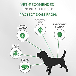 8-Month Protection Dog Flea Collars & Tick Collar - No Irritation, Baldness, or Side Effects - Suitable for Small, Medium, Large Dogs - 25 lnch - Natural flea and tick Collar for Dogs - 1 Pack