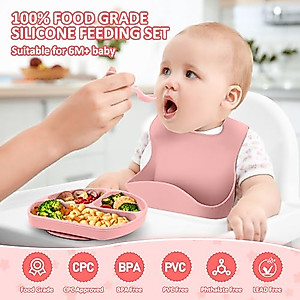 Silicone Baby Feeding Set | Baby Led Weaning Supplies | Toddler Self Feeding Dish Set with Suction Bowl, Divided Plate,Sippy Cup Spoons Forks Teether and Adjustable Bib, Eating Utensils for 6+Months