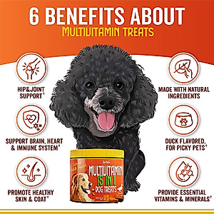 ZooChews Dogs Multivitamin - Support Dog's Immune Response, Skin, Coat and Joints - Vitamins and Glucosamine for Dogs - 180 Tasty Chews - Vitamins for All Breeds dogs