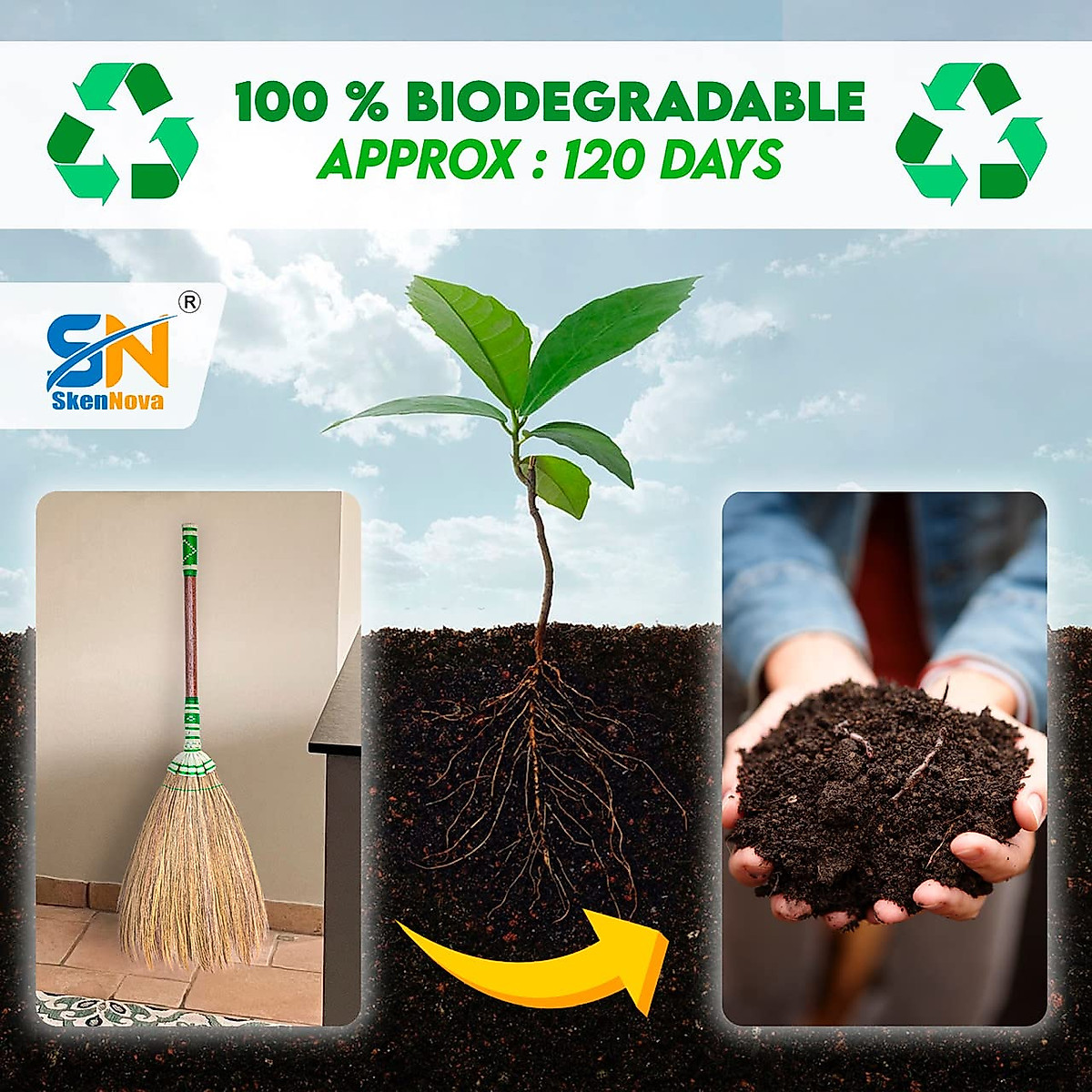 SN SKENNOVA - 28-29 inch Tall of Asian Straw Broom Thai Natural Grass Broom Whisk Broom Solid Wood Handle