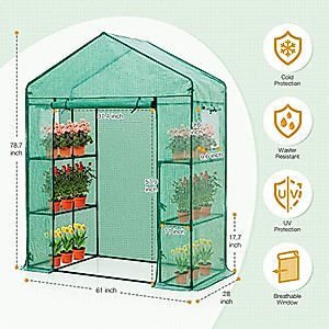 EAGLE PEAK 61'' x 28'' x 79'' Walk-in Greenhouse, 2 Tier 4 Shelves Portable Plant Gardening Greenhouse, Front Roll-Up Zipper Entry Door and 2 Roll-Up Side Windows, Green