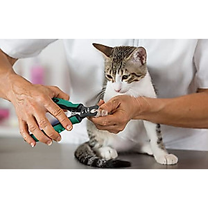 Ruff 'N Ruffus Deshedding Brush for Dogs & Cats - Reduces Shedding by up to 95% with Detachable Head & Non-Slip Grip, Comes with Free Nail Clippers, Suitable for All Breeds