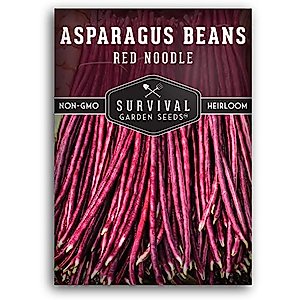 Survival Garden Seeds - Red Noodle Asparagus Bean Seed for Planting - Packet with Instructions to Plant and Extremely Long Stringless Beans in Your Home Vegetable Garden - Non-GMO Heirloom Variety