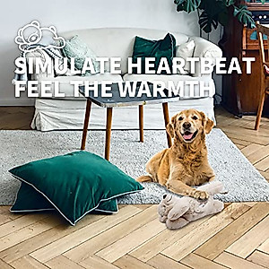 ALL FOR PAWS Dog Heartbeat Plush Toy - Sleep Aid & Warm Comfort Pillow for Puppy Crate, Stuffed Animal Dog Toy for Small Dogs