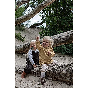 BIBS Pacifiers - De Lux Collection | BPA-Free Baby Pacifier | Made in Denmark | Set of 2 Baby Blue Color Premium Soothers | Size 6-18 Months