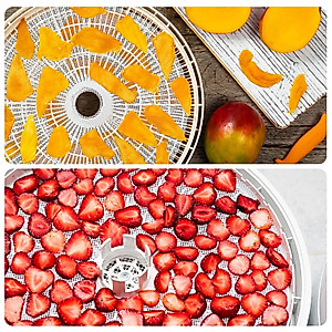 Domensi 12 Pcs Round Dehydrator Sheets Non Stick Silicone Dehydrator Mats with Edges Mesh Dehydrator Trays Reusable Roll Dehydrator Tray Liner for Fruit Meat Beef Kitchen, 13 12.5 Diameter