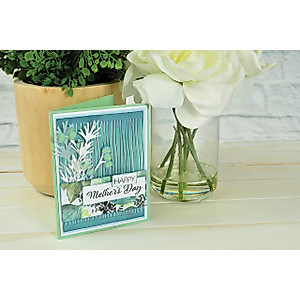 Sizzix Thinlits Die Set 4 Pack Wild Thing by Sharon Drury, Multicolor