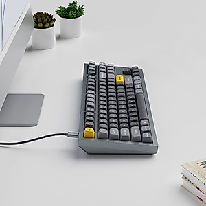 Keychron Q3 Wired Custom Mechanical Keyboard Knob Version, TKL QMK/VIA Programmable Macro with Hot-swappable Gateron G Pro Brown Switch Double Gasket Compatible with Mac Windows Linux (Grey)