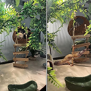 MUYG 6PCS Crested Gecko Coconut Hut, Lizard Coco Den with Ladder and Reptile Hammock Bearded Dragon Tank Accessories Climbing Hanging Plants Jungle Vine Flexible Reptile Leaves Decor
