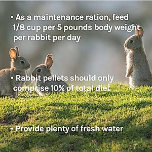 New Country Organics | Rabbit Pellets | Corn-Free and Soy-Free | 15% Protein | Certified Organic and Non-GMO | 40 lbs