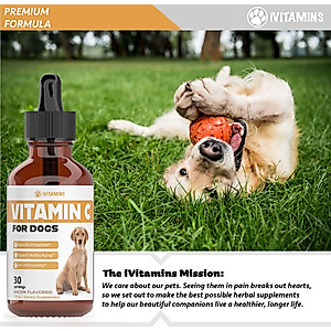Vitamin C for Dogs | Helps with Improving Immune Health | Vitamin C for Dogs Liquid | Dog Immune Support | Dog Immune and Allergy Supplement | Dog Immune Booster | 1 oz Bacon Flavor