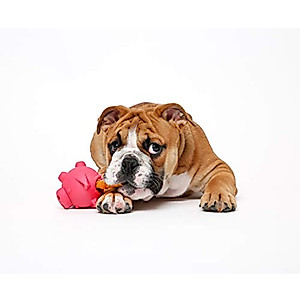 Hartz Tuff Stuff Treat Hogging Piglet Dog Toy Treat Dispenser for Dogs, 1 Count