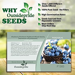 Outsidepride Perennial Northern Highbush Blueberry Fruit Garden Plants - 1000 Seeds